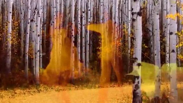 Загуляю осень, загуляюсь.. Стихи Татьяна Бродская, муз. и исп. Самуил Фрумович