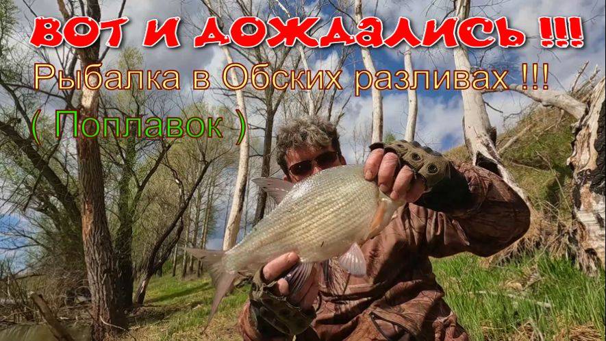 ВОТ И ДОЖДАЛИСЬ !!! Рыбалка в Обских разливах ( Поплавок ) 6 мая 2025г.