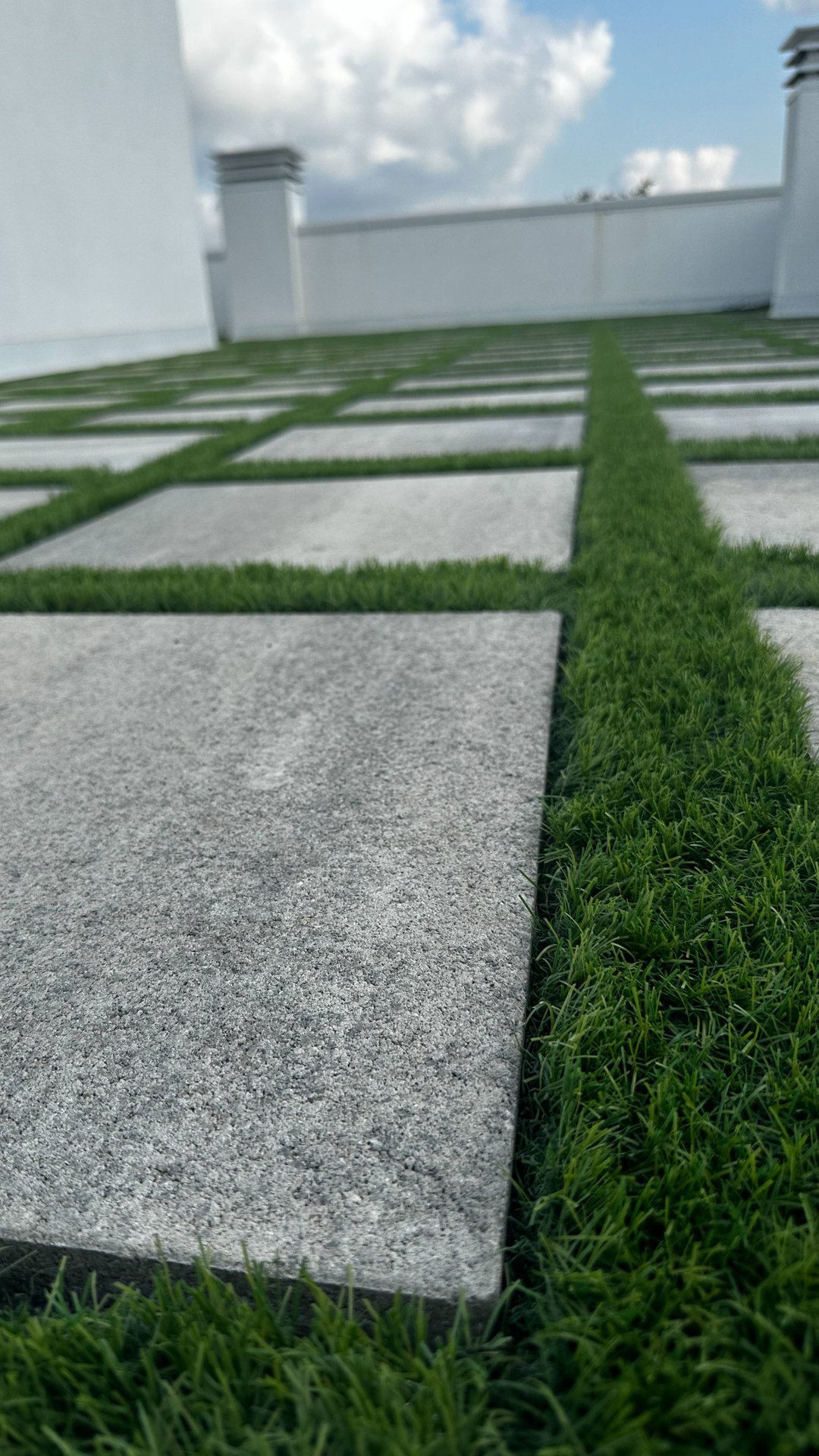 Эксплуатируемая кровля спустя год!