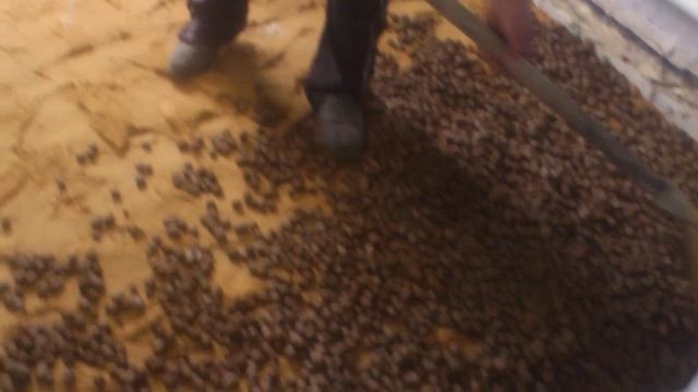 В мае - маемся... заливаем полы - рассыпаем керамзит...