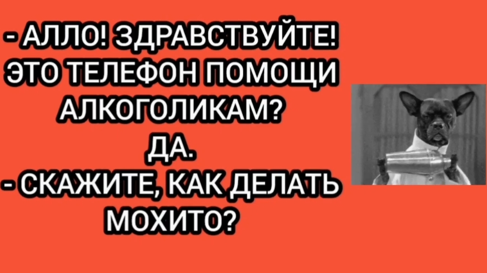 Закрой рот,а то трусы видно! Самые смешные анекдоты.