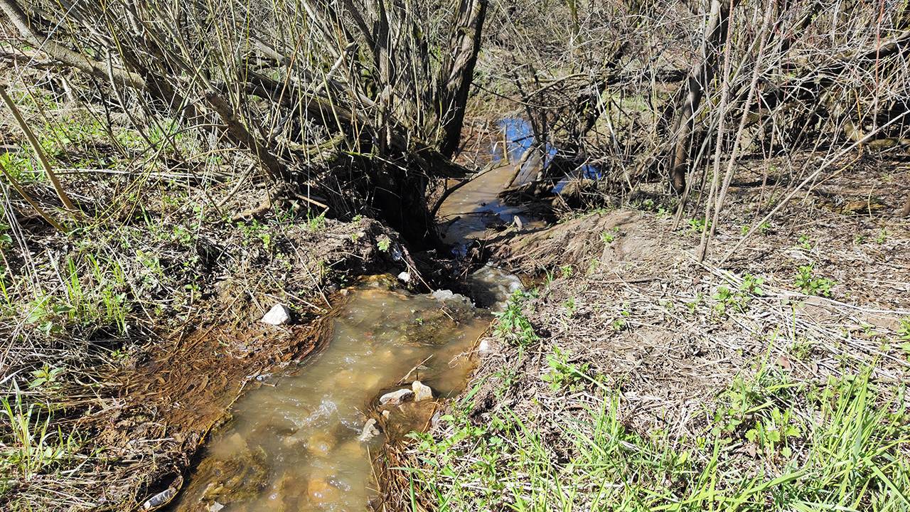 Первая рыбалка в 2025 году. Отлично порыбачили и открыли сезон рыбалок по открытой воде.