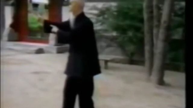 Мастер У Тунань (吴图南), тайцзицюань Уши.