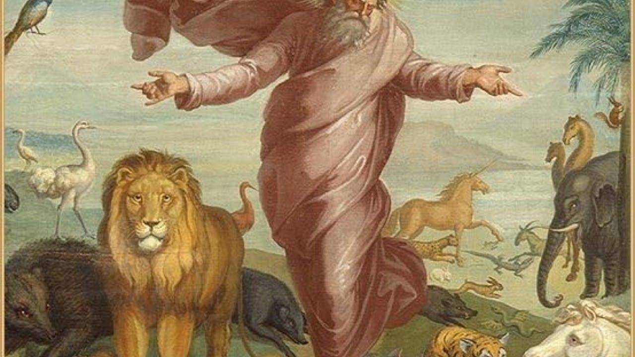 Очередная (успешная) атака креационистов на современную научную картину мира