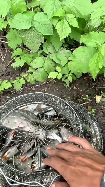 #Июль #2024 #Сакмара