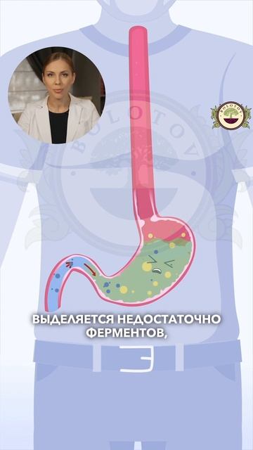 Кислотность желудка — главный фактор здоровья ЖКТ