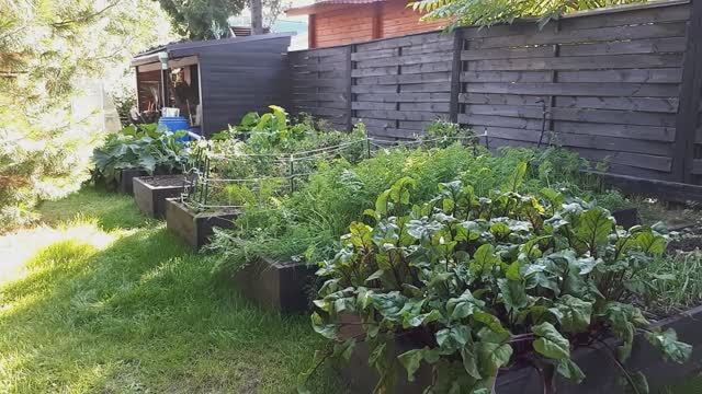 Куда можно убрать растительные остатки.Готовлю грядки к новому сезону.