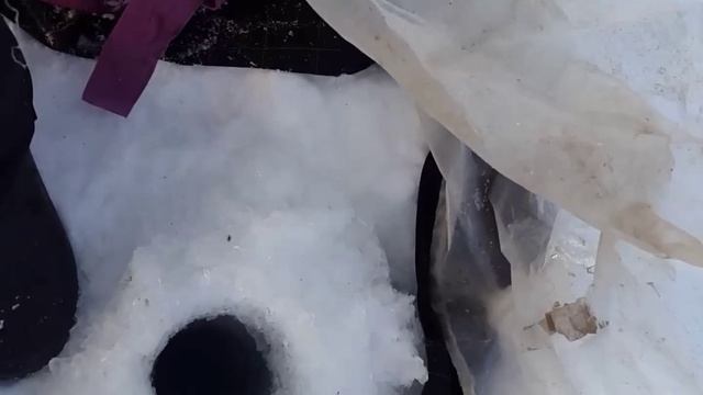 как я окуньков ловила