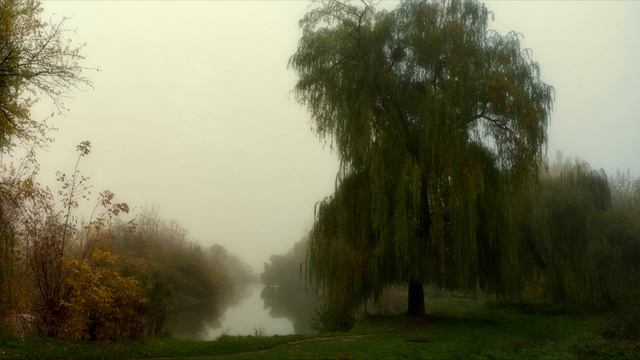 ДЫМКА💥(Д.Обухов)💥💥💥