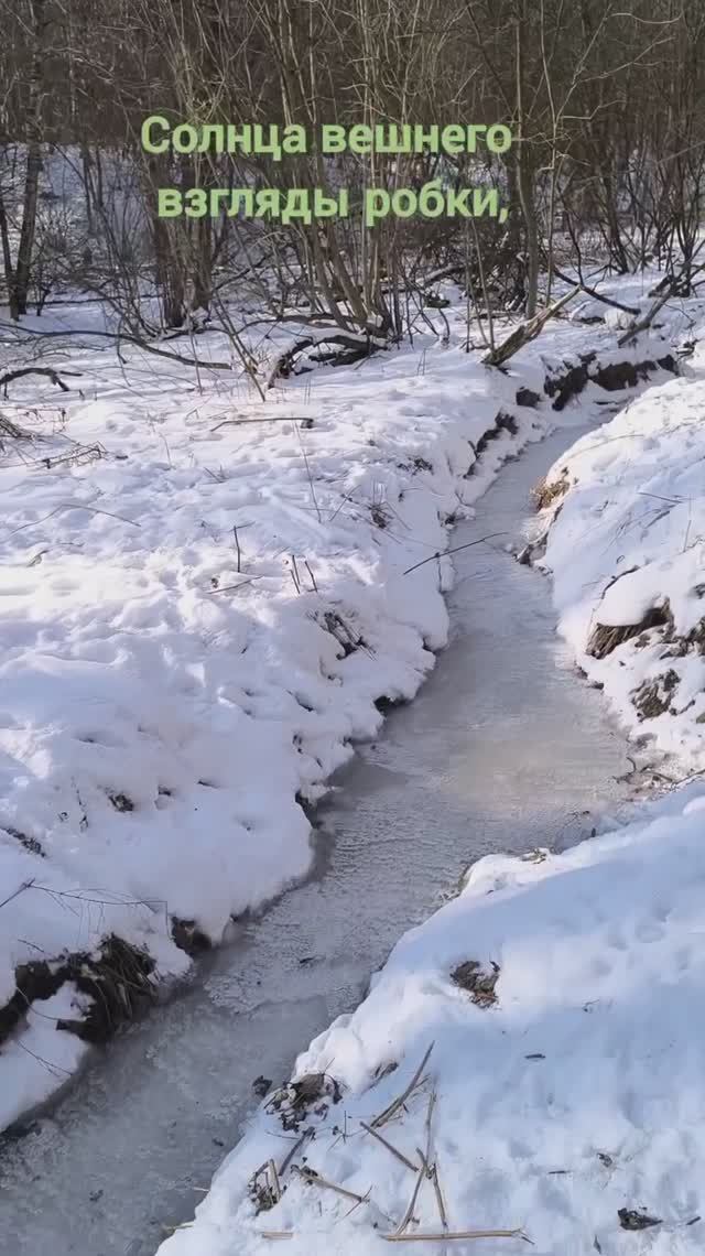 А Вы будете скучать по снежно-ледяным шедеврам скульптора Мороза?