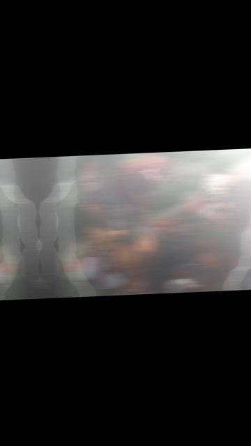 Коты-Воители ♡