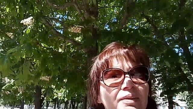 Как начать управлять своим вниманием? Практика "Точка"