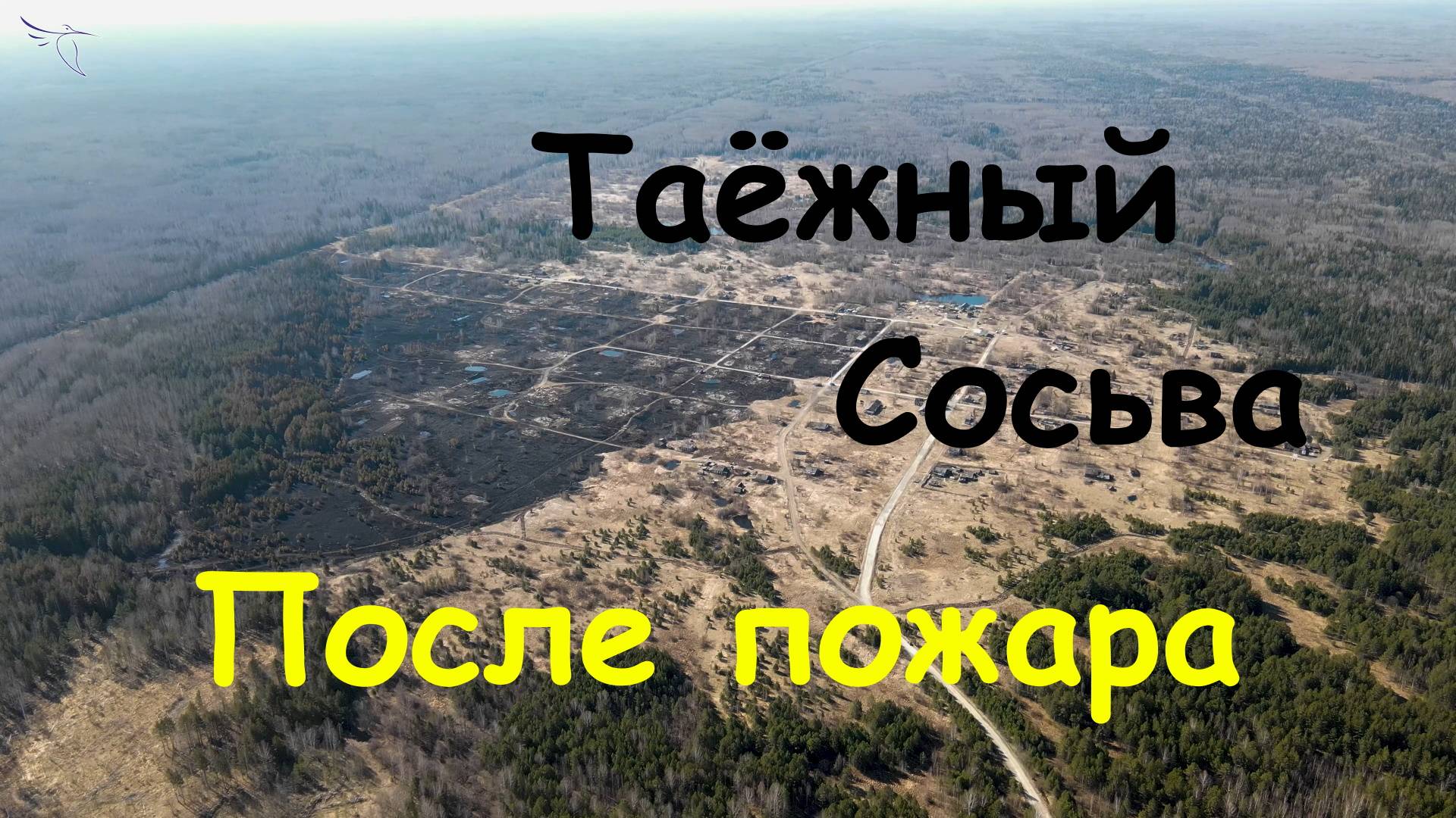 Пожар (Сосьва, Таёжный) 2023. Вид с дрона.