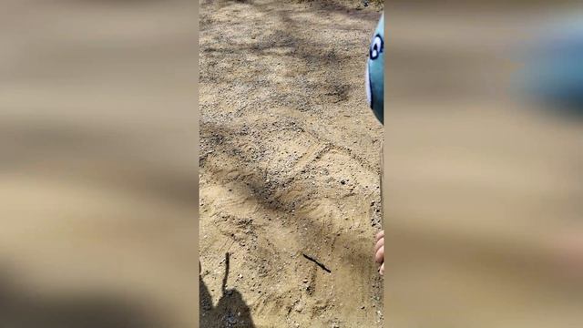 Конец апреля, начало мая, Мирончику 1 год 4 месяца.