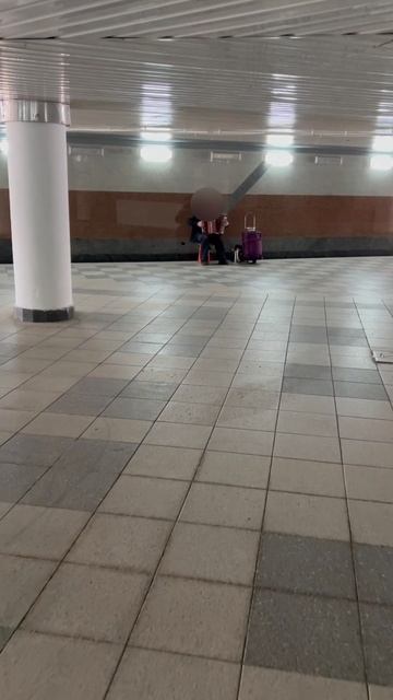 Уличный музыкант в Беларуси (Минск)