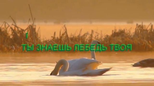 ГУЛЬНАРА ИСМАЕВА ⭐🌟⭐🌟⭐ МИЛЫЙ РОДНОЙ ВОЗВРАЩАЙСЯ ДОМОЙ ⭐🌟⭐🌟⭐ ВСЕХ ЛЮДЕЙ ПЛАНЕТЫ С ДНЁМ ПОБЕДЫ!!!