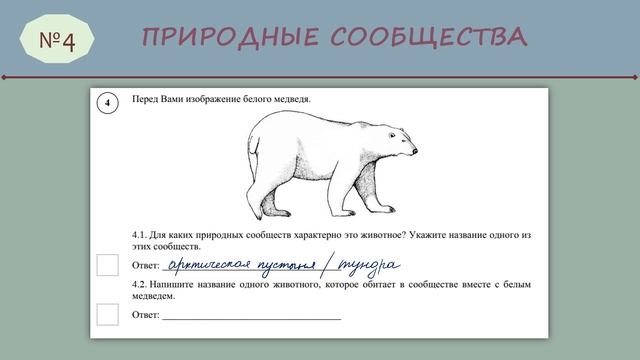 ВПР № 4 _5класс