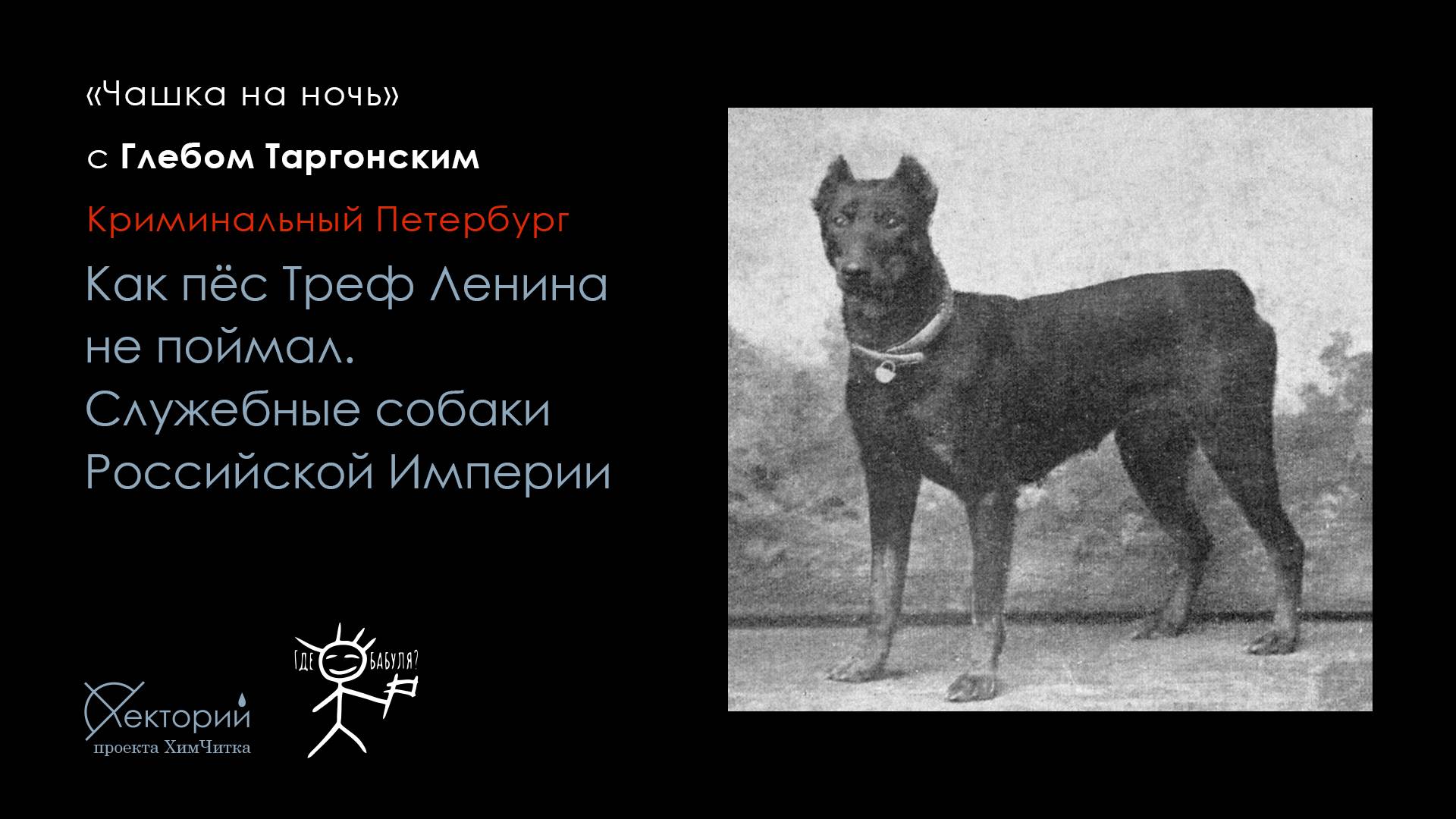 Глеб Таргонский / Как пёс Треф Ленина не поймал. Собаки на службе Российской Империи