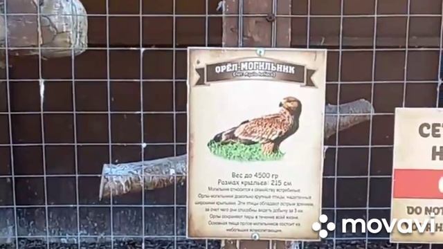 💥 СОЧИ-ПАРК и отель БОГАТЫРЬ 💥 январь 2025 г. 💥