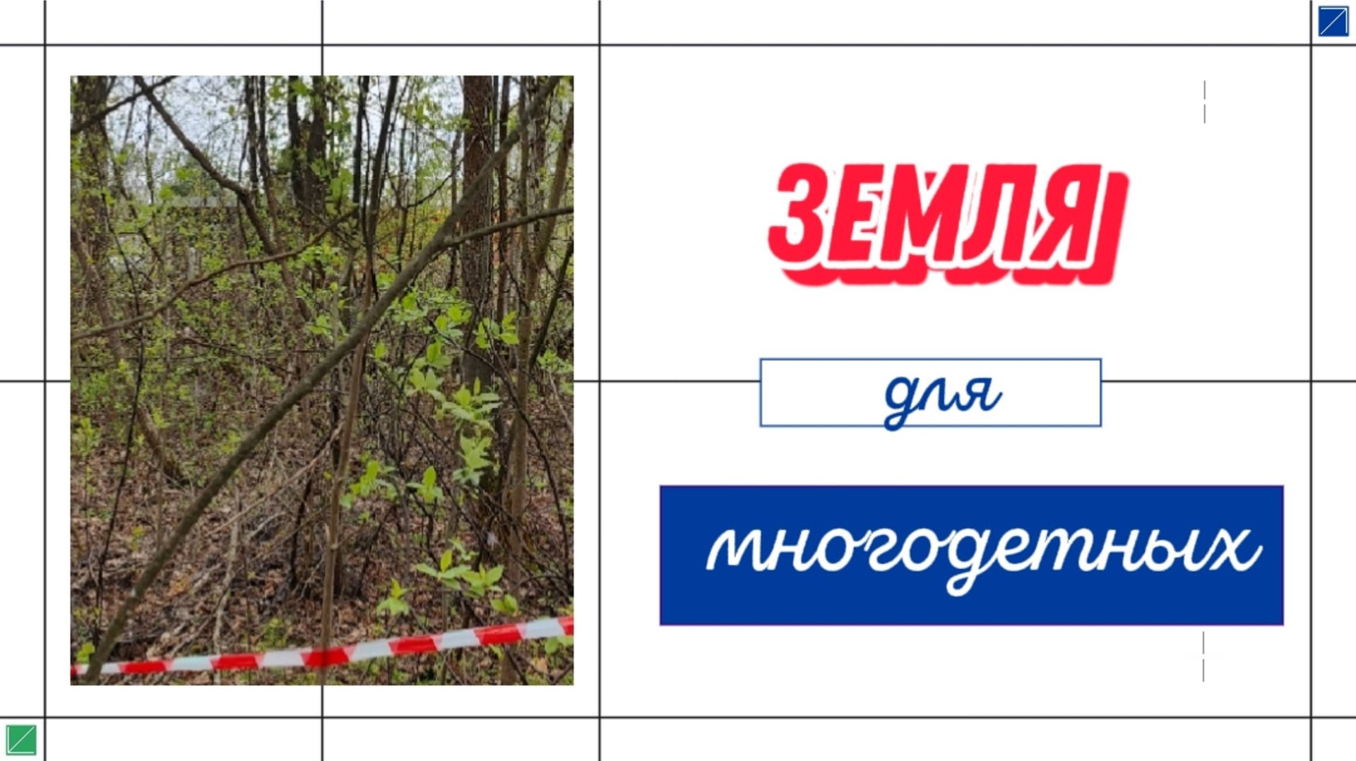 СМОЖЕТ ЛИ МНОГОДЕТНАЯ СЕМЬЯ ОСВОИТЬ ВЫДЕЛЕННУЮ И ЗАХВАЧЕННУЮ ЗЕМЛЮ?