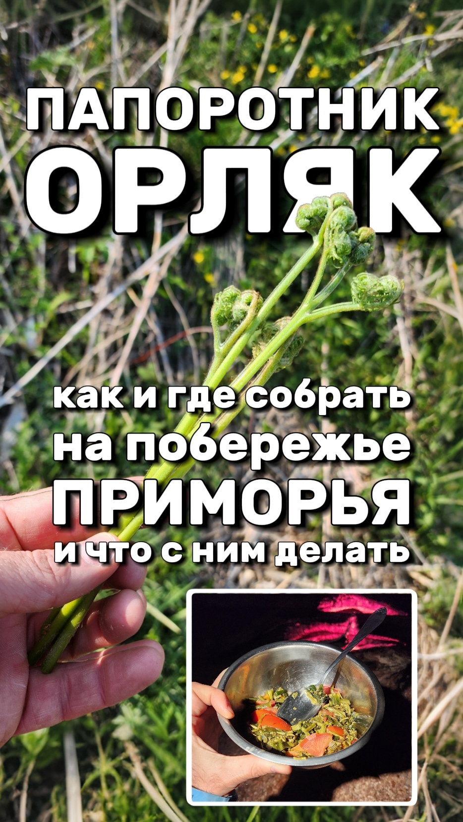 Между майскими штормовыми предупреждениями от МЧС выбрались на природу пособирать папоротник.