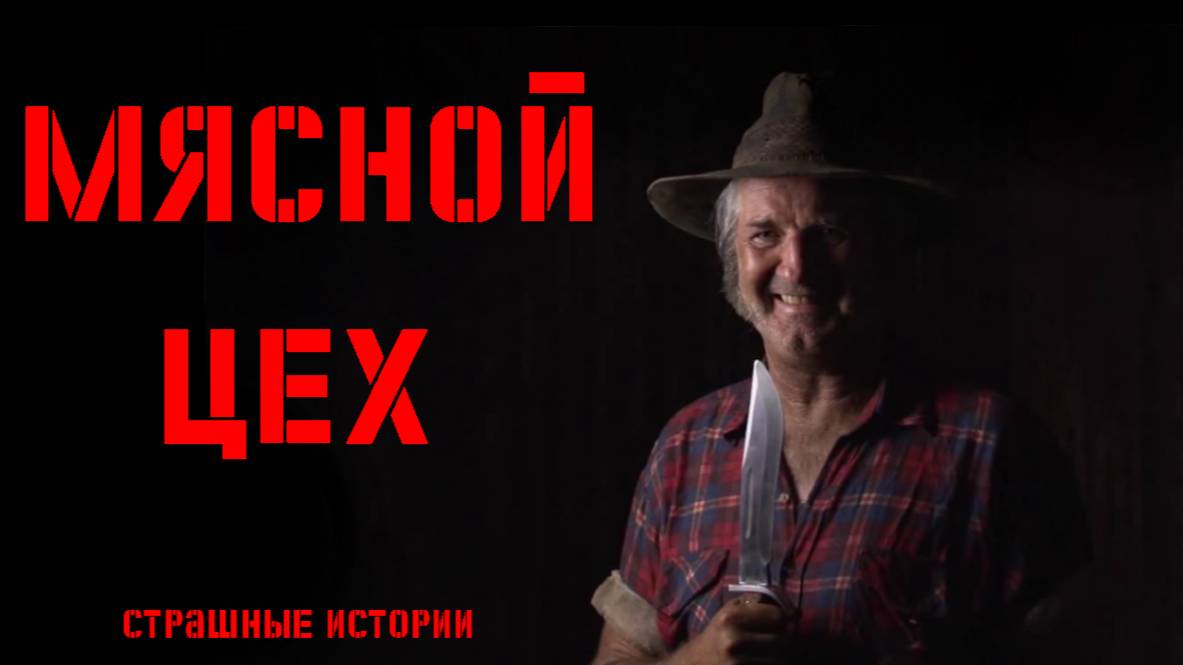 МЯСНОЙ ЦЕХ! Страшные истории из жизни. Страшилки. Кошмары. Истории про каннибалов