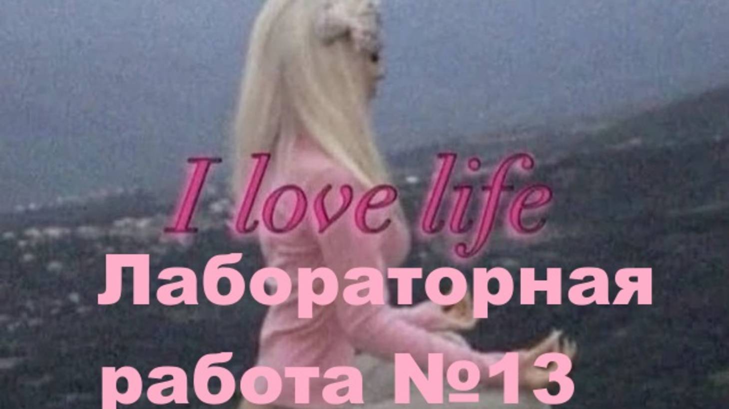 Лабораторная работа №13