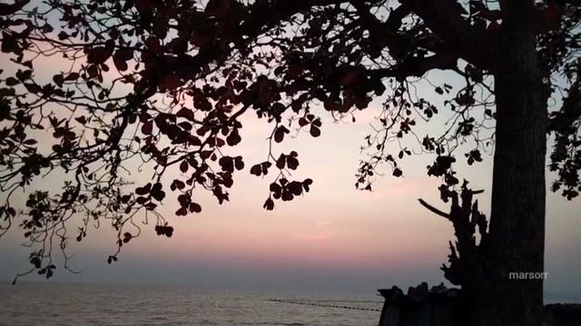 просто цвет заката - сиреневый. берег, силуэты. тайская осень