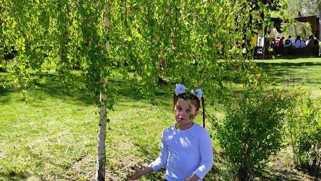 Белая береза.