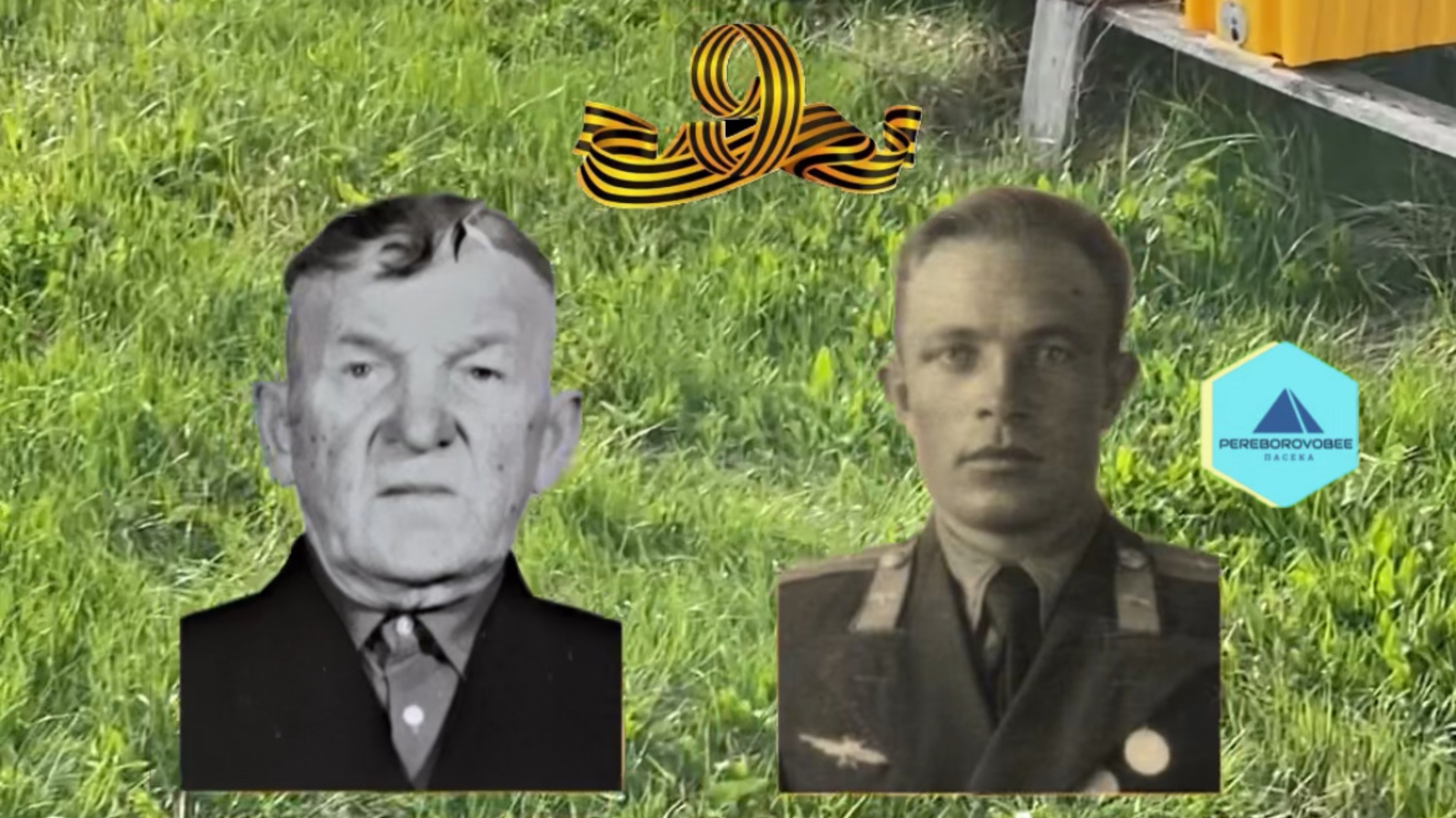 ДЕНЬ ПОБЕДЫ! Поздравляю! #ДЕНЬПОБЕДЫ #pereborovobee #пасека #пчеловодство #улей