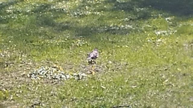 Прогулка в парке 07 05 2025