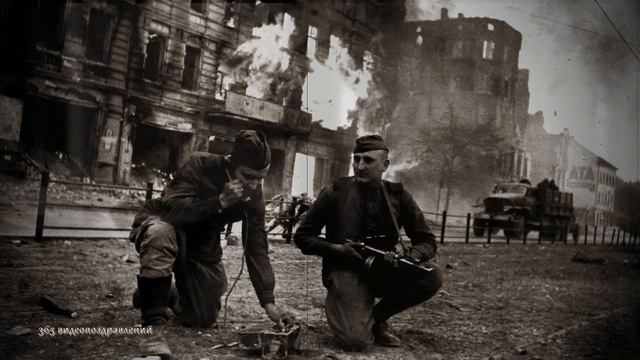 Шёл май. И радость уже вслух! Стихи Ольги Сухина!