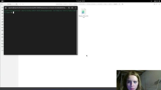 Отчёт лаб№13