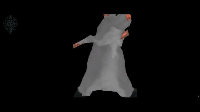 Крысиный шторм