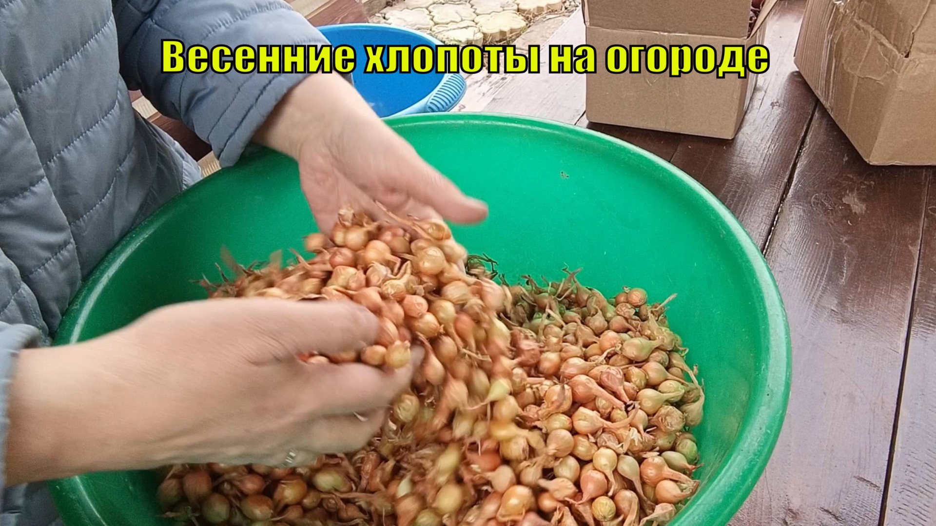 Весенние хлопоты на огороде