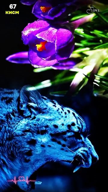 Киз фарзанд жаннат калити 🔑 🗝 🔐