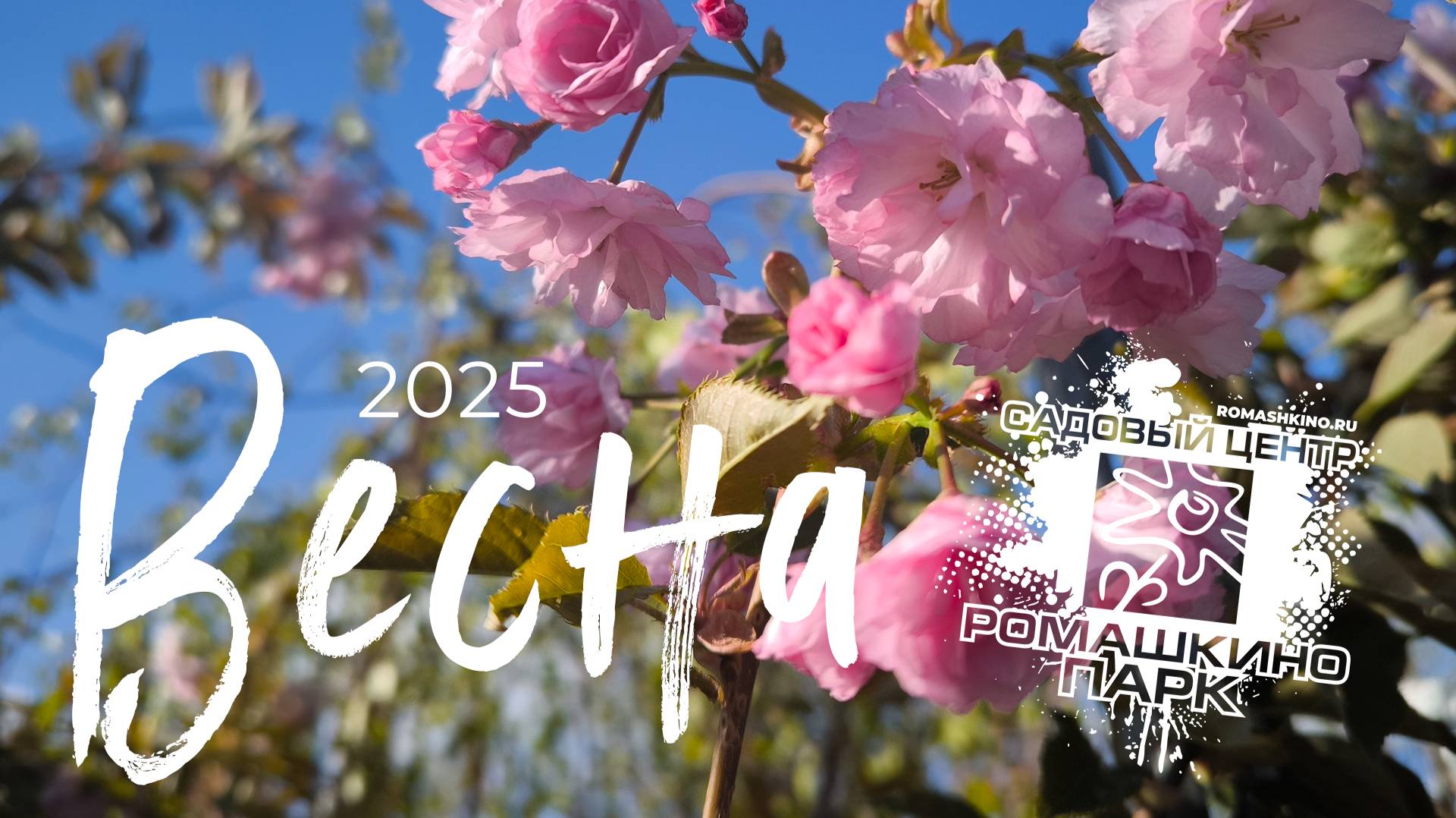 Весна в Ромашкино парк - сезон 2025