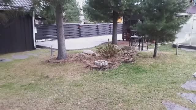 Как сохраняю нимфею зимой.