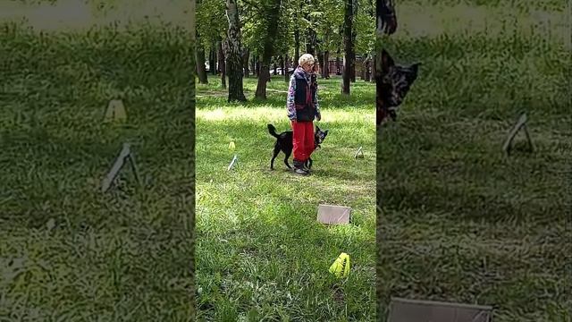 Ралли трен мы1 09.05.2025