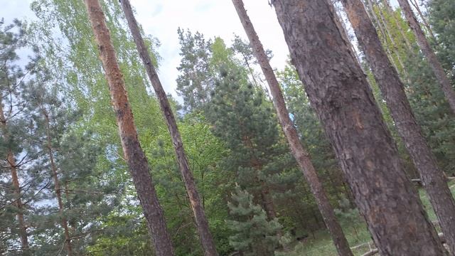 * КАК Я СТОРОЖИЛ ОФИС* фильмы, ужасы, кино, фильм, смотреть онлайн, лучшие фильмы, новинки кино, зар