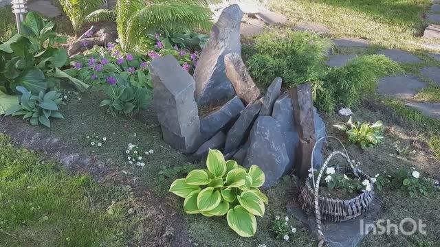 Больше не надо полоть и рыхлить цветочные клубы!