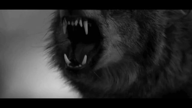 Laughter and horror 3.