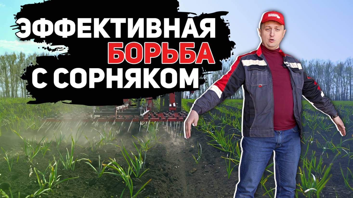 Эффективная борьба с сорняками: работа штригельной бороны с S-образными стойками