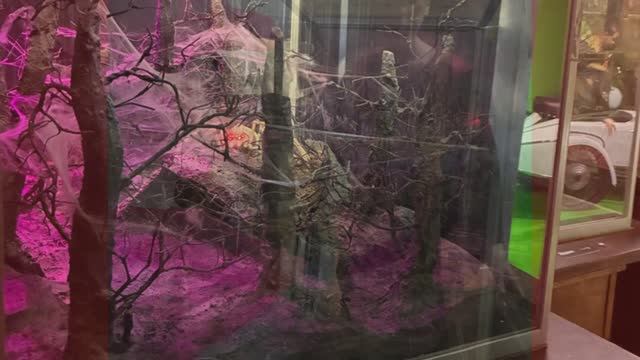 Гарри Поттер музейыттан | Николай Артемьев