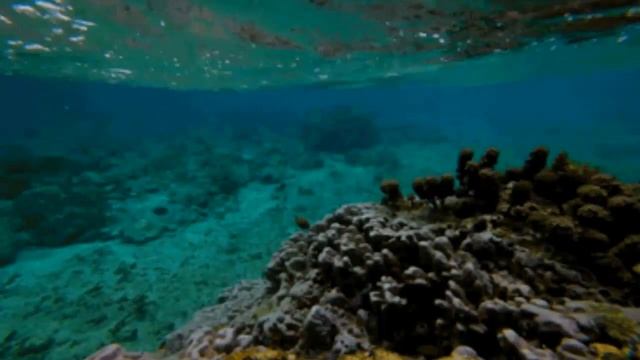 Учение о космических часах. Иллюзии