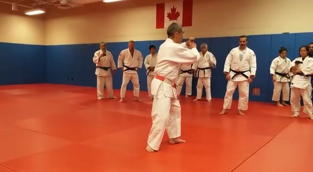 Sensei Hiroshi Katanishi Clinic – Part 3 6 (May 2017 Vancouver TTC)