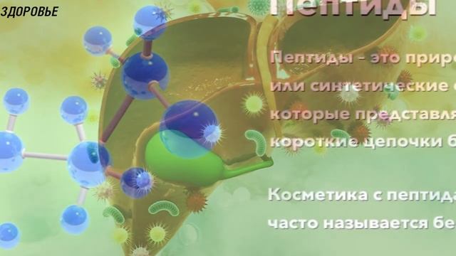 Здоровая печень. Продукты для здоровой печени. Очищение