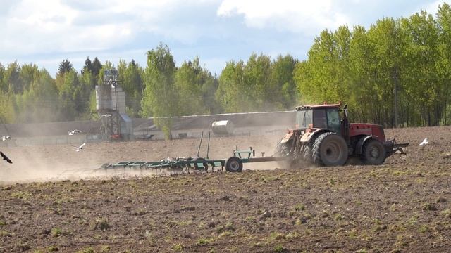 Культивация Беларус 3022, Витебская обл., 10.05.2025