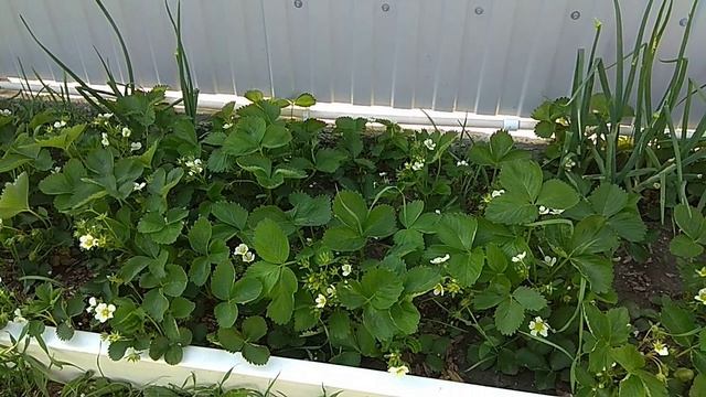 Ежедневные заботы.