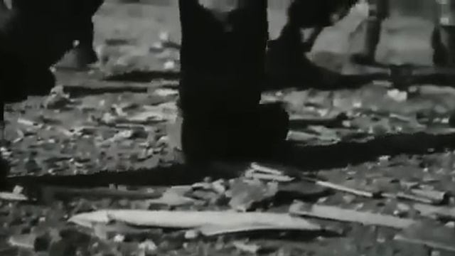 РУССКИЕ ВПЕРЁД